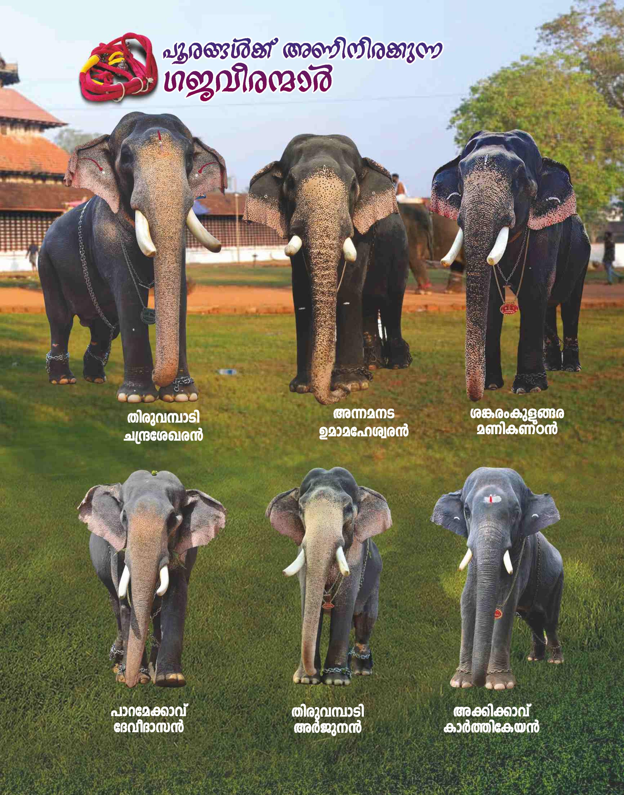 Peruvanam Arattupuzha Pooram 2020 – Cherpu Bhagavathy Temple